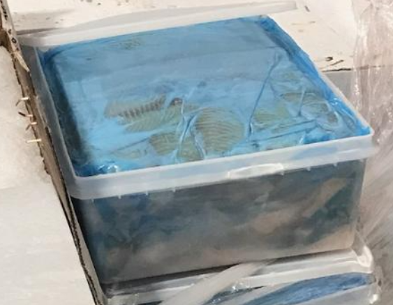 that's deep bro ☮️ deep skinned fillets