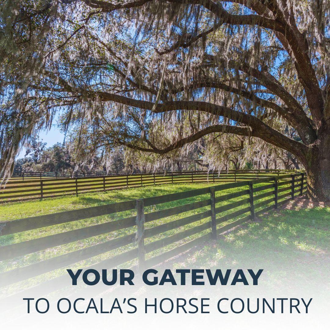 Discover Ocala’s Equestrian Lifestyle