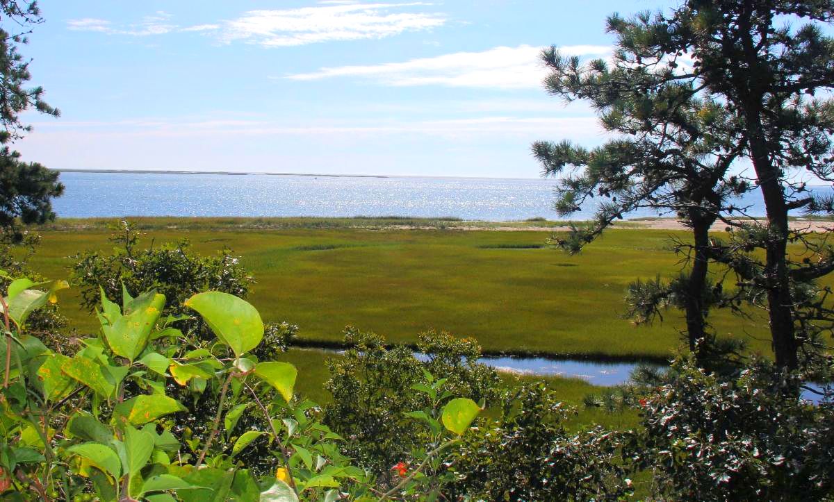 Featured Trail - Visit Strong Island!