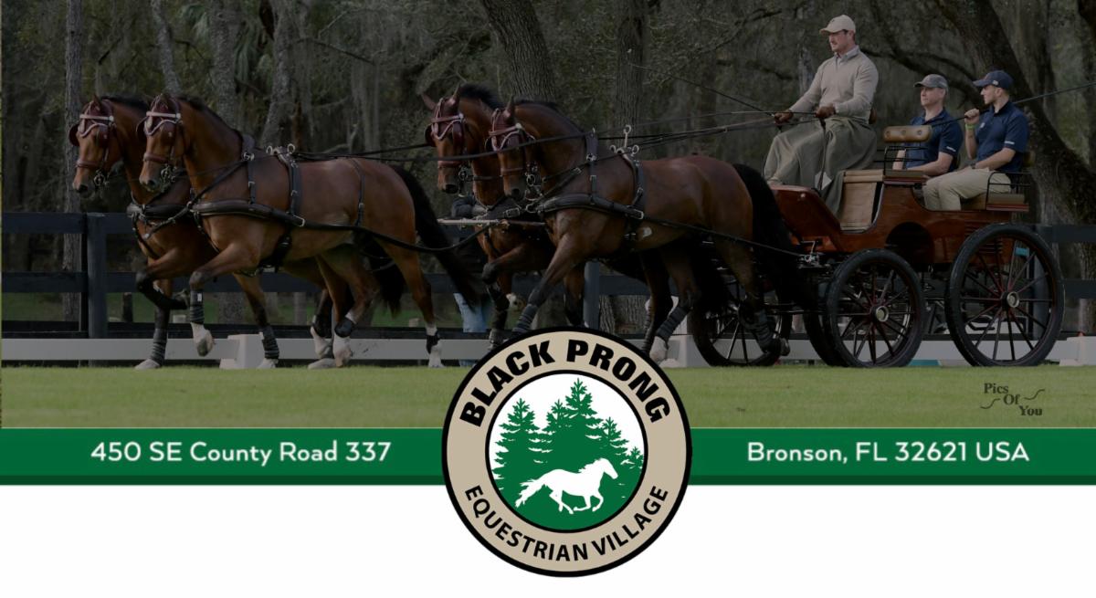 Carriage Driving Events at Black Prong