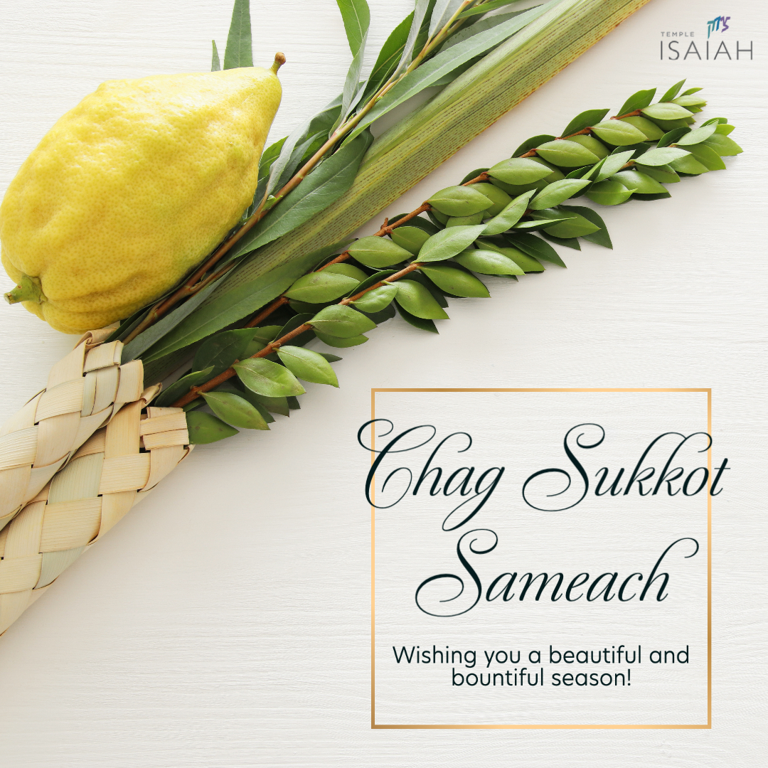 Your Guide to Sukkot!