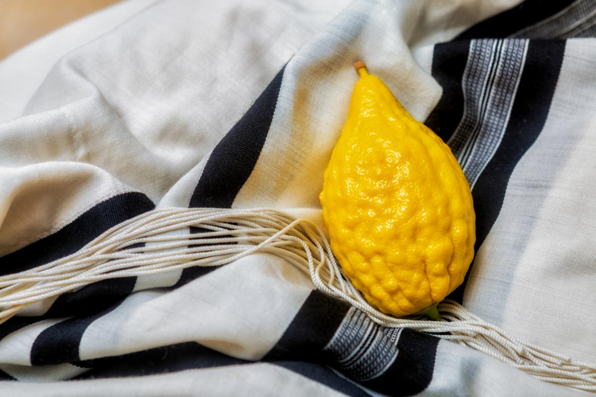 Your Guide to Sukkot!