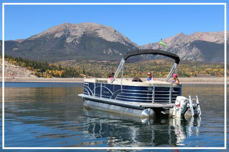 Dillon Marina Buzz