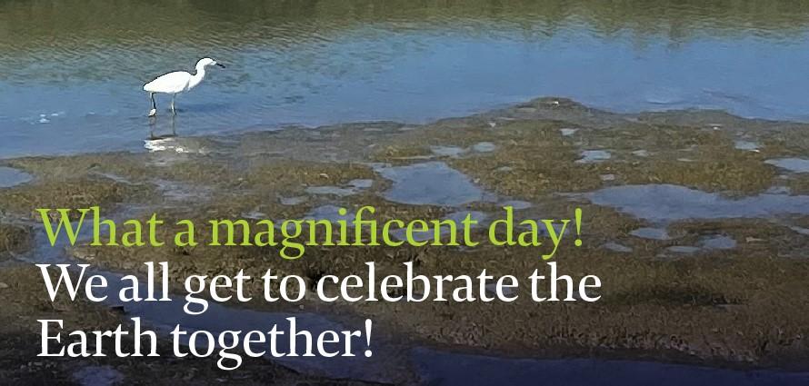 What a magnificent day! We all get to celebrate the Earth together!