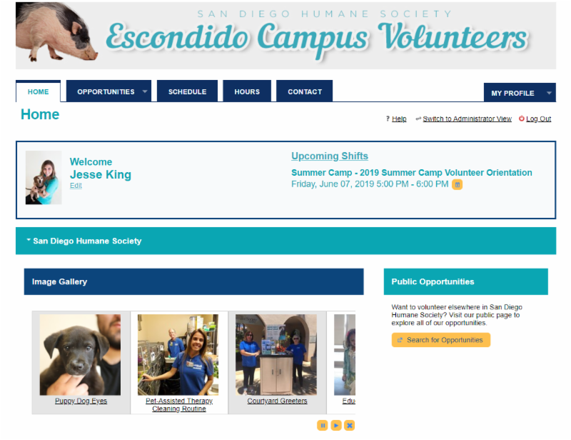 SDHS New Database Volunteer Impact - Volunteer Bulletin