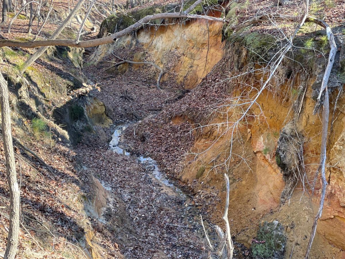 STREAM RESTORATION PROJECT BEGINS ON STRAWBERRY CREEK IN WILLIAMSBURG