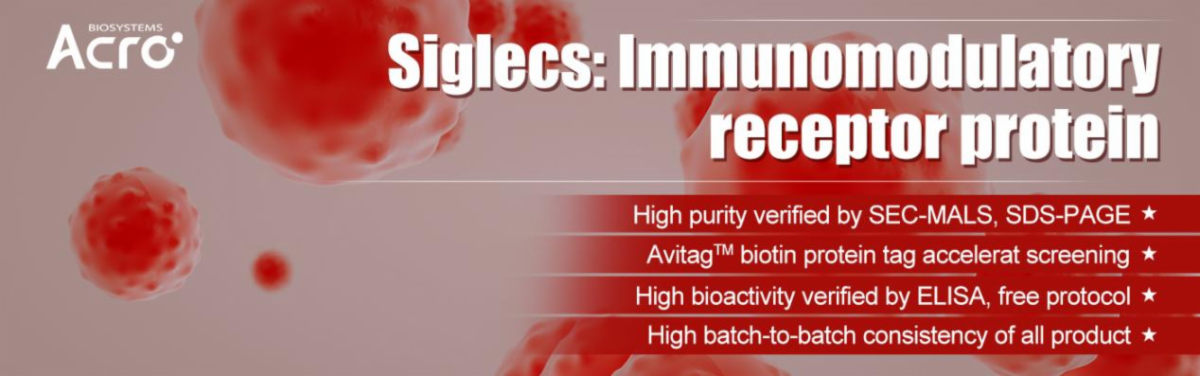 Siglec Receptors Unveil New Avenues for Immunity Therapy Research