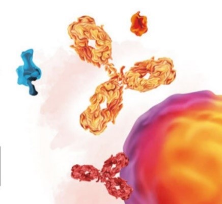 Protein, Beads, and Kits of Immune Checkpoints Accelerate Your ...