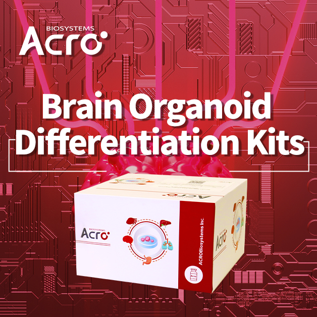 Advancing Neuroscience with iPSC-Derived Brain Organoids