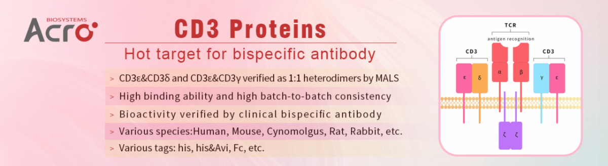 Enhance your CD19 CAR Expression Evaluation with our PK/ADA assay ...
