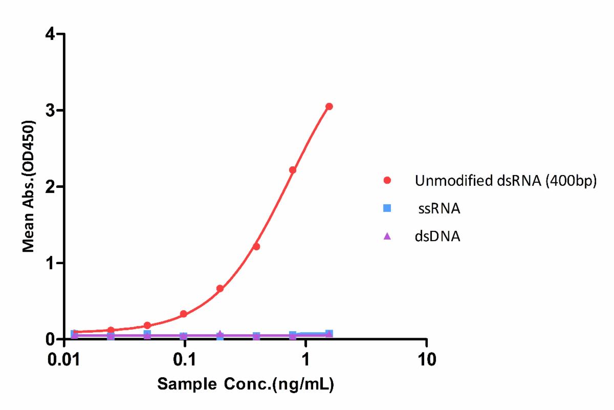 Solutions for mRNA-based In Vivo CAR-T Cell Therapy Development