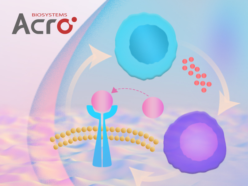 ACRO Weekly - The latest news for you