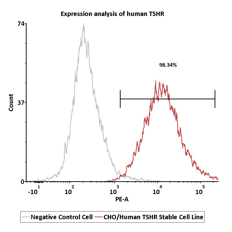 Full-length TSHR Facilitates Thyroid-related Drug Development