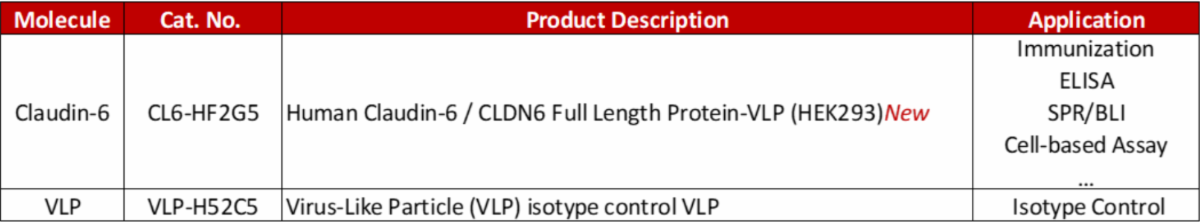 Inspiring Target: Breakthroughs of targeting Claudin 6 in mAb, bsAb ...
