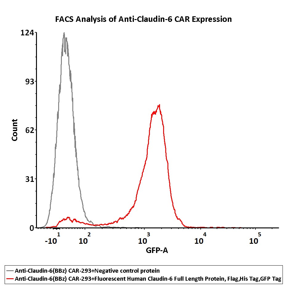 CD3 Proteins Empower Breakthroughs in TCE Development