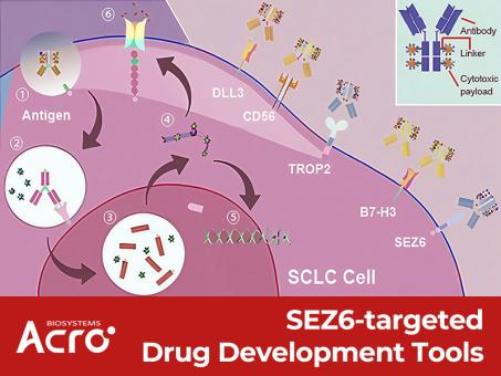 Cambridge Uncovers New Role of Transferrin R in Cancer and ...
