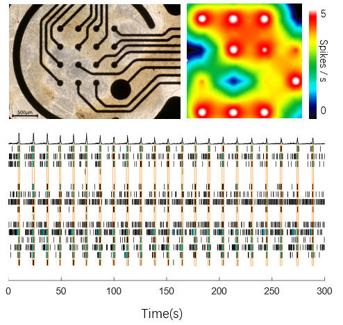 Accelerating Parkinson’s Disease Research with Comprehensive Solutions