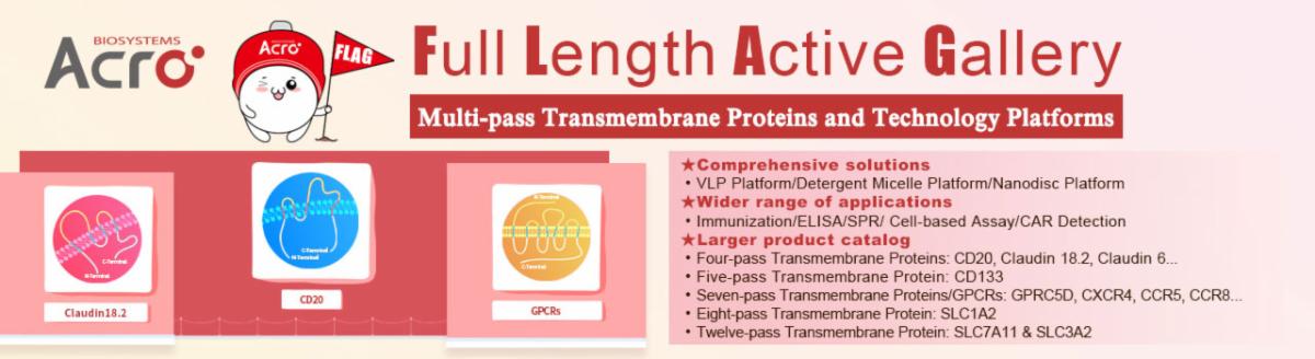 Multi-pass Transmembrane Proteins – your next CAR-T target protein?