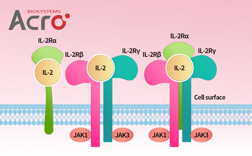 Inspiring Cytokine Targets Collection10% off