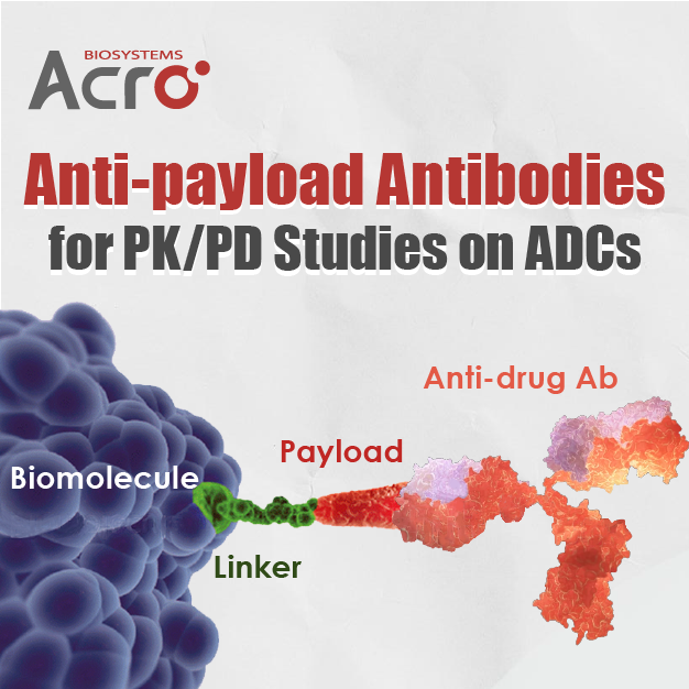 Boosting antibody-drug conjugates (ADCs) Development with Vital Reagents