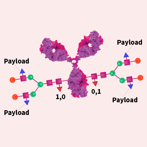 Boosting antibody-drug conjugates (ADCs) Development with Vital Reagents