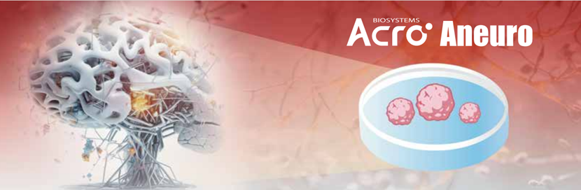 New Product! iPSC-Derived Cerebral Organoid Differentiation Kits