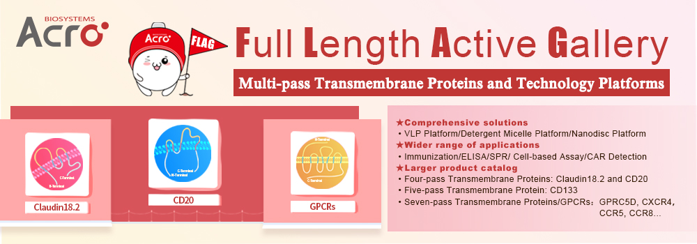 Inspiring Target: Breakthroughs of targeting Claudin 6 in mAb, bsAb ...