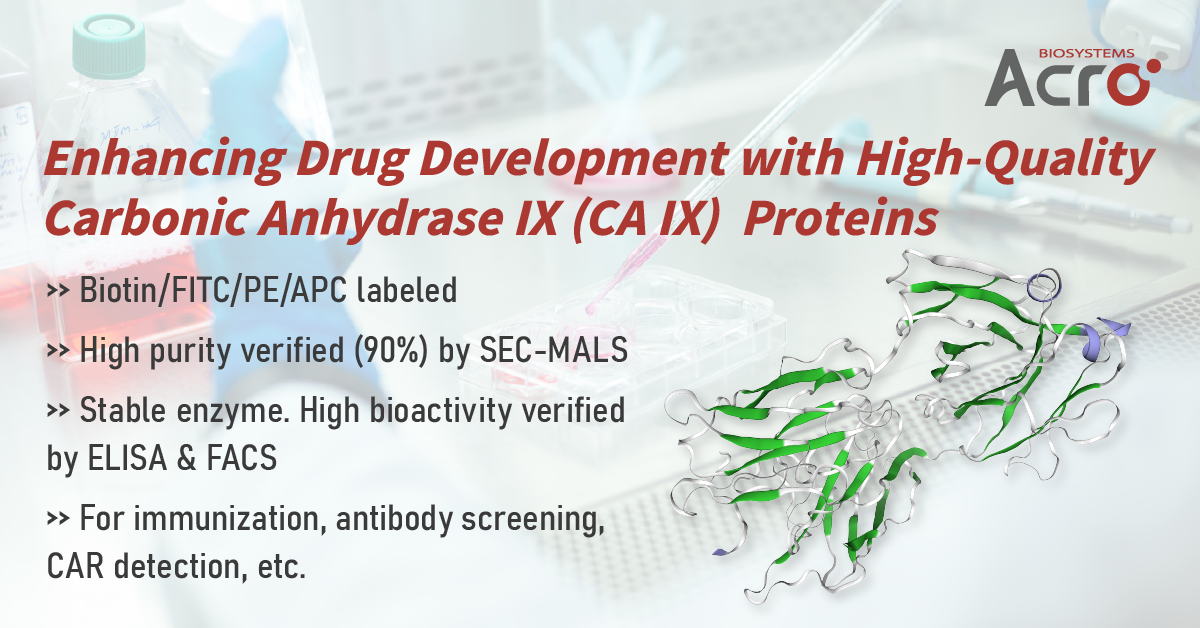 Unleashing the Potential of Carbonic Anhydrase IX (CA IX) in Cancer Treatment and Beyond