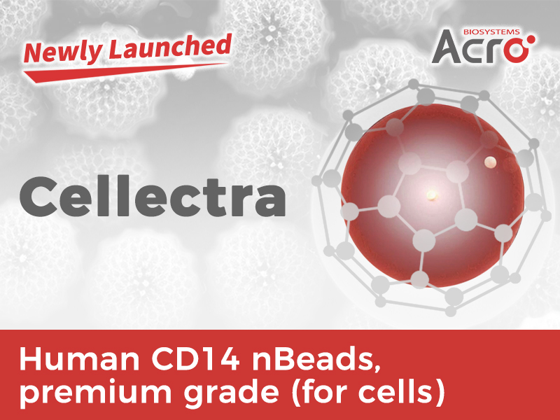 Grand Debut: Next-Generation Magnetic Bead Technology Development Platform