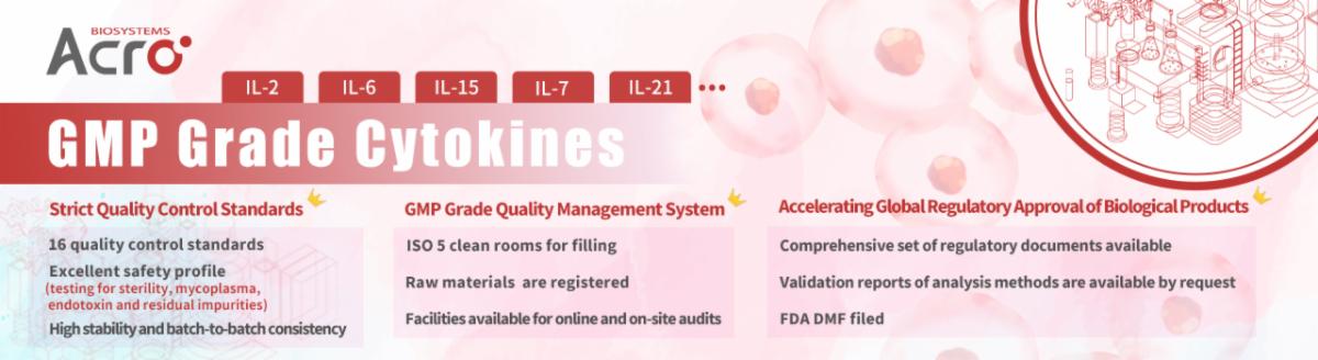 Manufacturing Your Cell and Gene Therapy with our GMP-grade Products