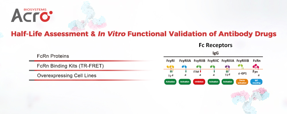 New Product Launch: pH-Sensitive Dye-Based Antibody Internalization ...