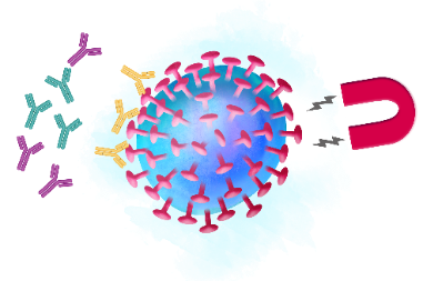 Protein, Beads, and Kits of Immune Checkpoints Accelerate Your ...