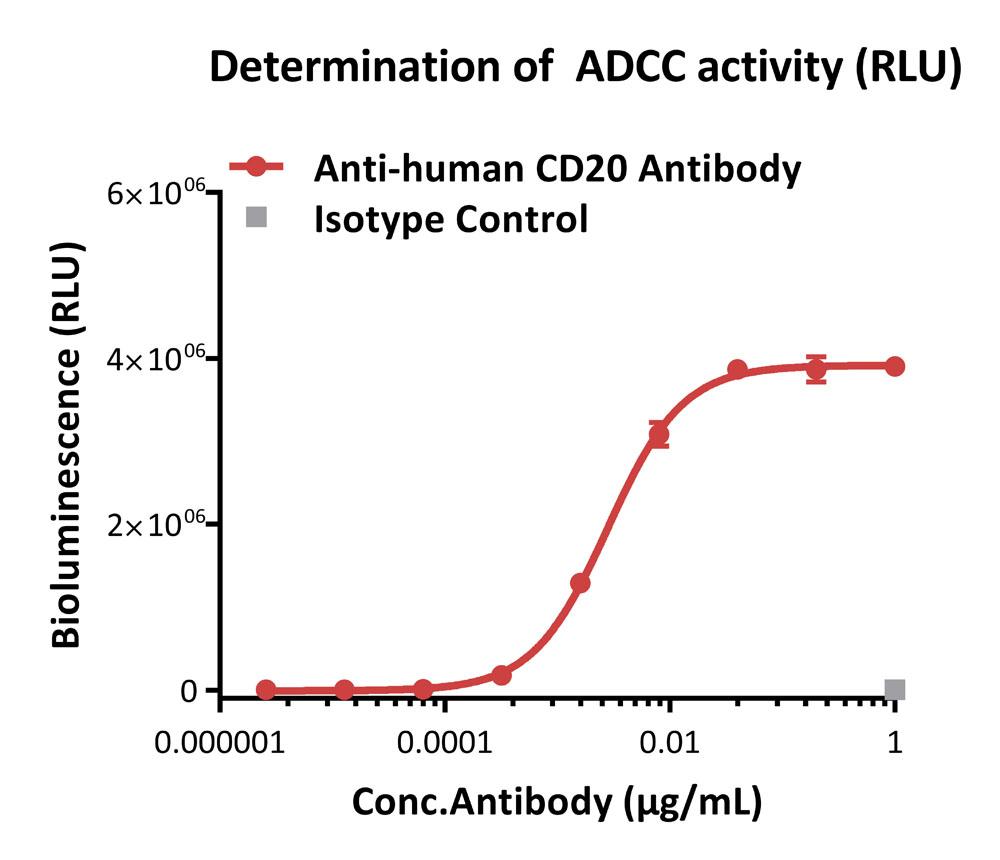 Key to Therapeutic Antibodies Development: Half-Life Assessment and In ...