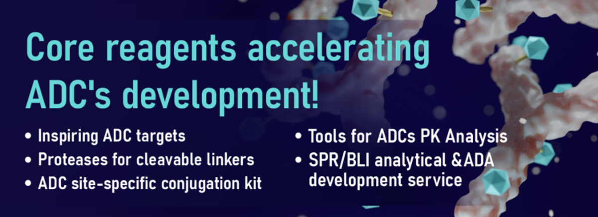 Boosting antibody-drug conjugates (ADCs) Development with Vital Reagents