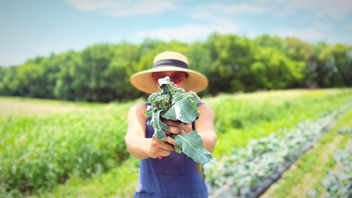 Summer CSA Week 1 : Welcome to Summer CSA!