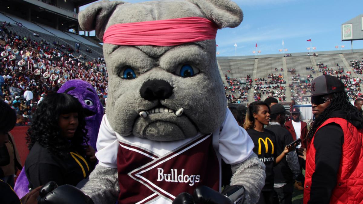 June Alumni Spotlight & News ️