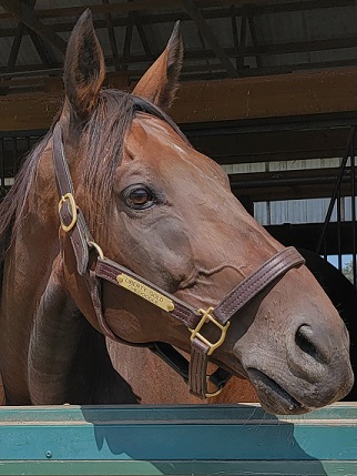 Old Friends Welcomes Mike Man's Gold