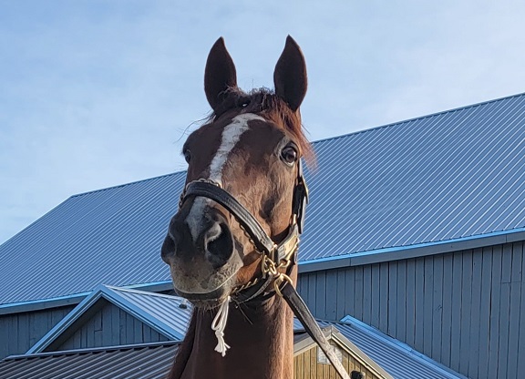 Old Friends Welcomes Graded-Stakes Winning Millionaire Channel Maker