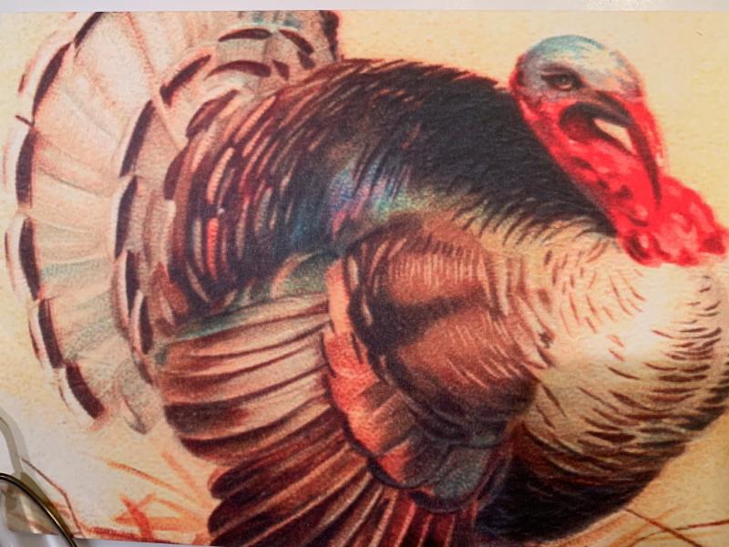 The History of Thanksgiving ... Where it all started!