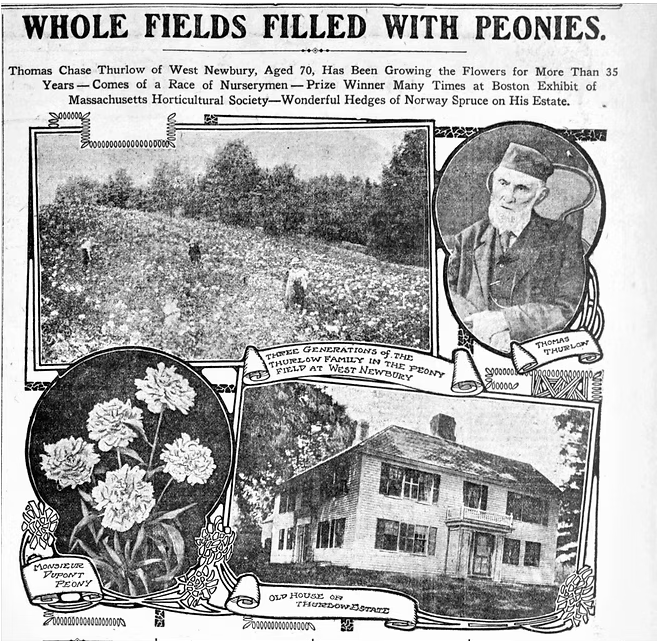 E-Newsletter: May 23, 2025