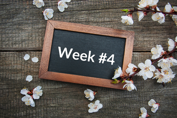 Welcome to Week 4: You've Made it Half Way Through!