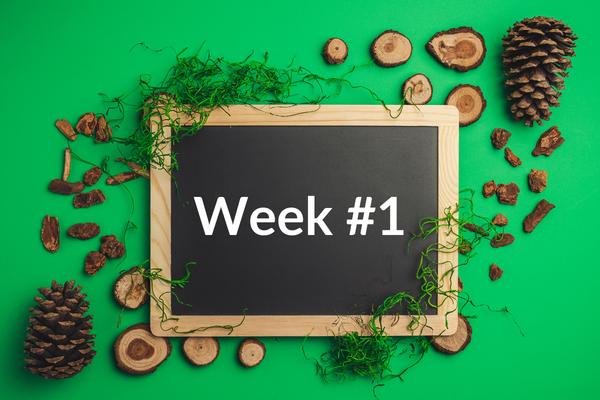 Welcome to Week 1 of the Holiday Challenge!