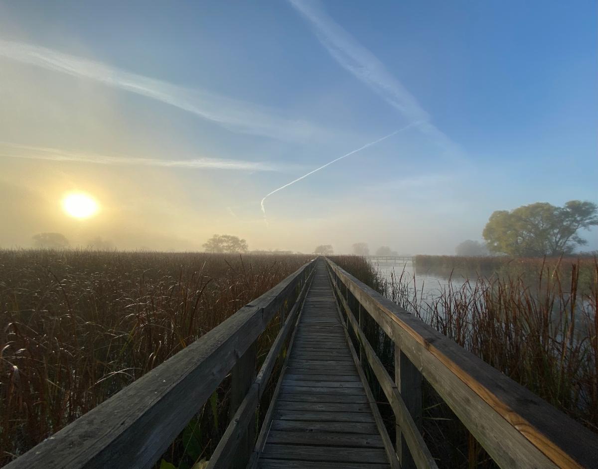 Wetland Center Winter 2022 Newsletter