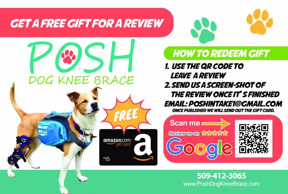 Introducing our NEW PRODUCT - Posh Dog Elbow Brace