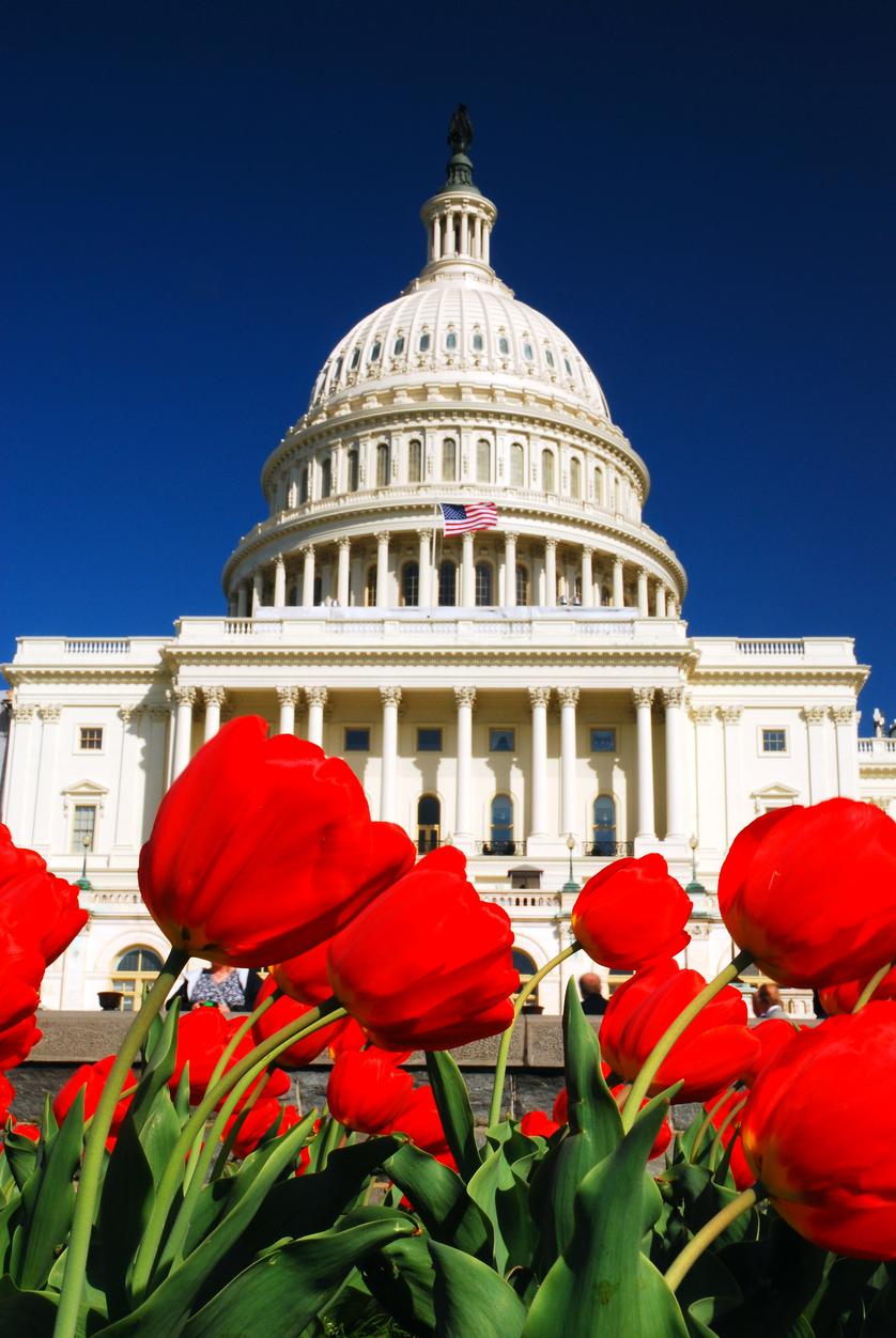 USTMA March 2025 Newsletter