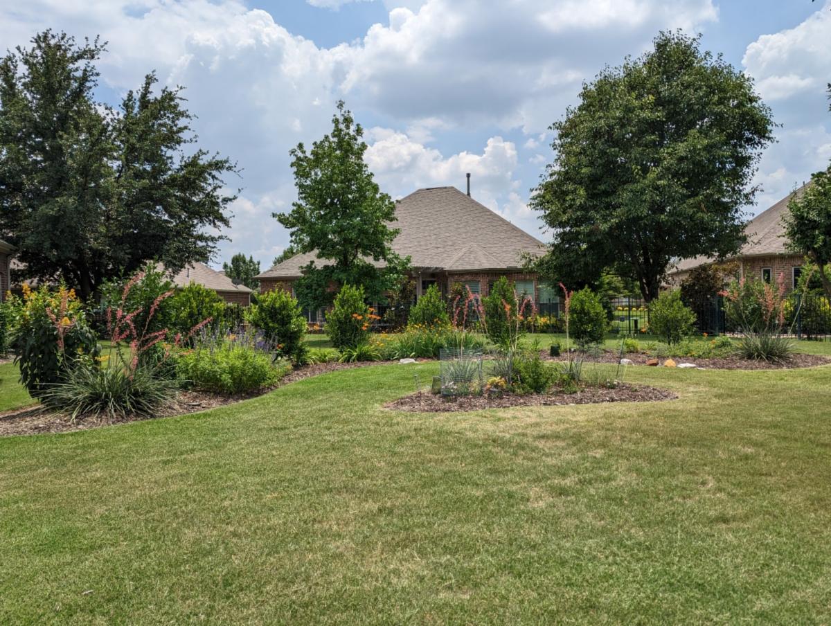 Frisco Lakes Weekly Update