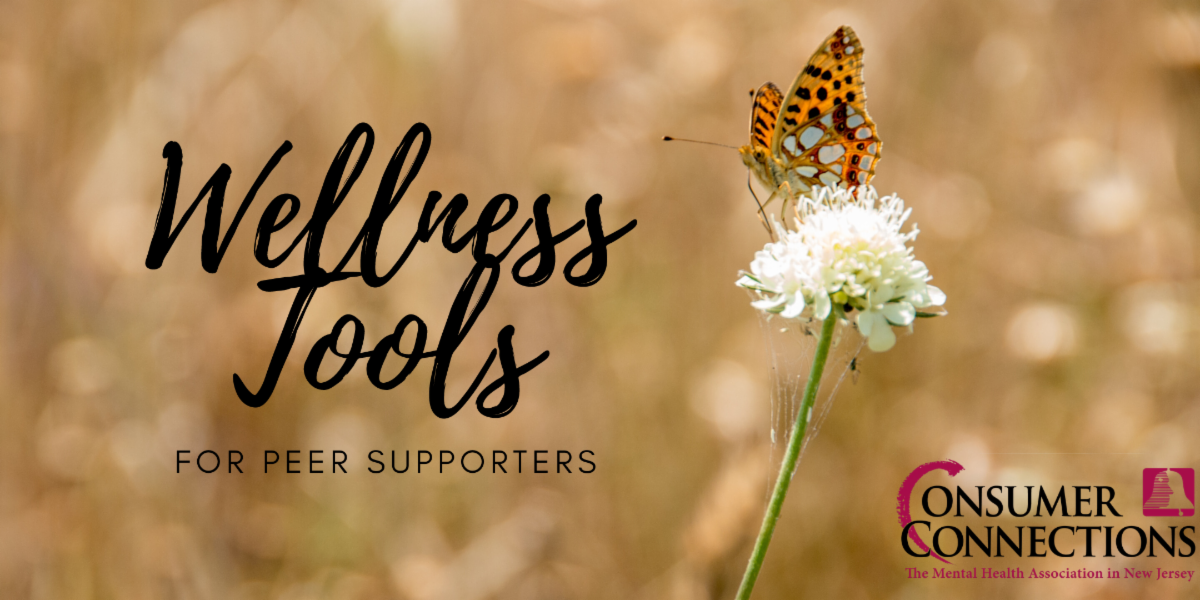 This Wednesday: Wellness Tools for Peer Supporters