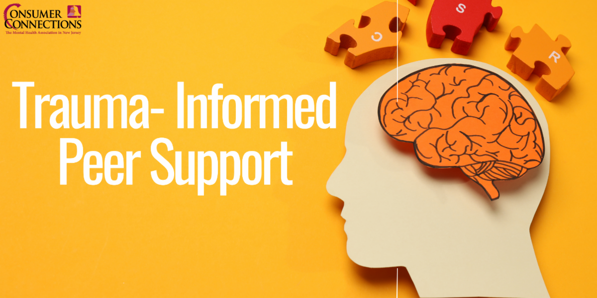 This Wednesday: Trauma-Informed Peer Support