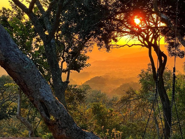 Thinking Outside the Box