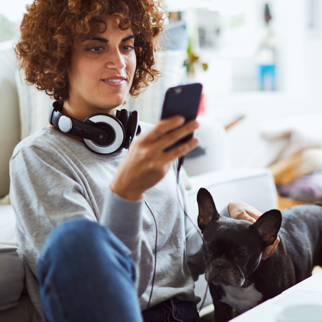 IntraVet New Features!